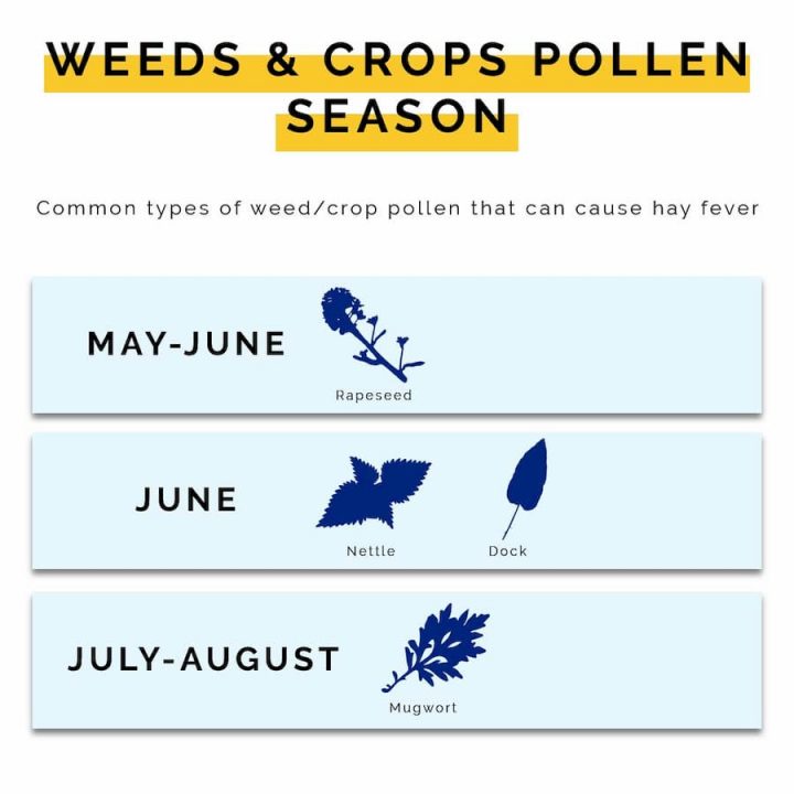 ᐅ Simple UK Pollen Guide For Hay Fever Sufferers | E-Surgery