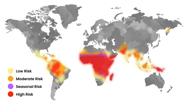 Ultimate Guide: Malaria Prophylaxis | E-Surgery